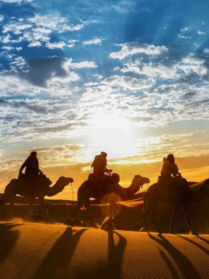 11-Day Backpacker Desert Trip in Morocco 29€ per day