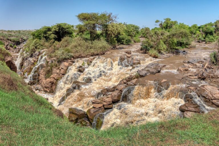 Travel to Awash National Park | Unforgettable Travel Experience