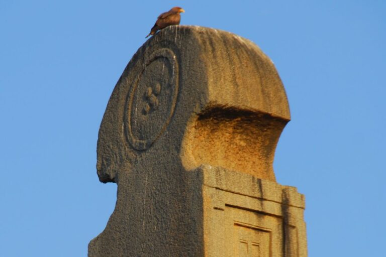 Travel to Axum in Ethiopia 2025 Unforgettable Travel Experience