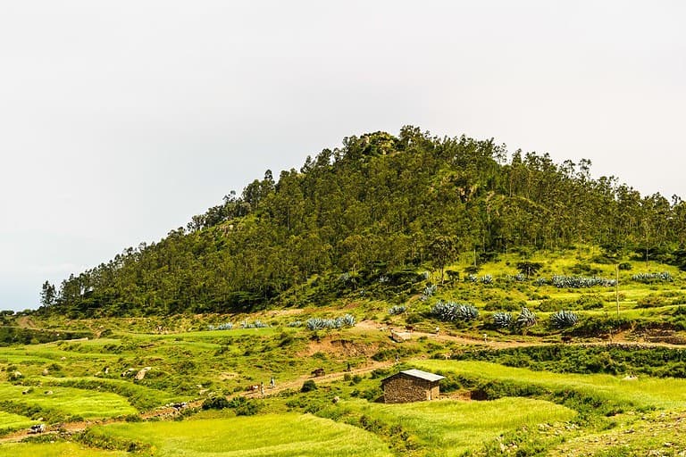 Travel to Axum in Ethiopia 2025 Unforgettable Travel Experience