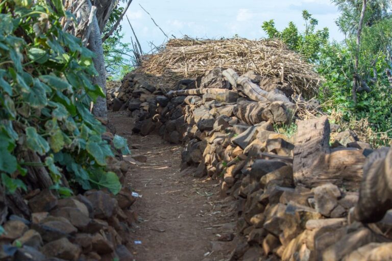 Travel to Konso Cultural Landscape: Konso Cultural Landscape