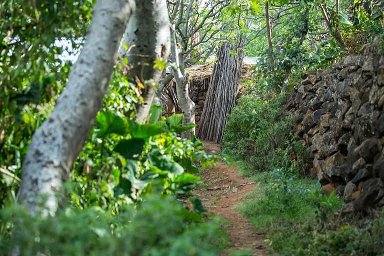Travel to Konso Cultural Landscape: Konso Cultural Landscape