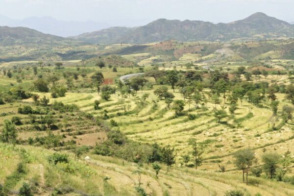 Travel to Konso Cultural Landscape: Konso Cultural Landscape