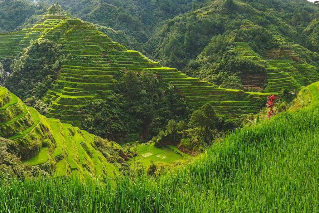 UNESCO World Heritage Sites In Philippines - 2025 Update