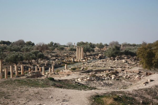 Travel To Umm Qais Jordan 2025 The Best Choice