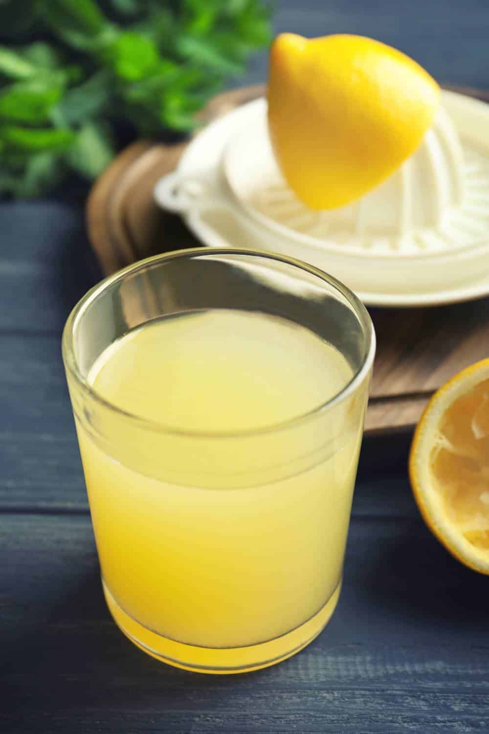 #1 Food from Syria: Savor the Best of Syrian Cuisine