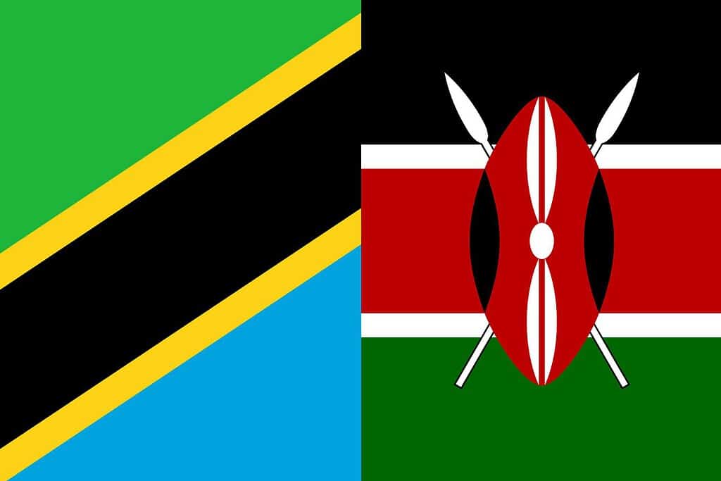 Flag Of Tanzania In 2025: Exploring The Rich Heritage