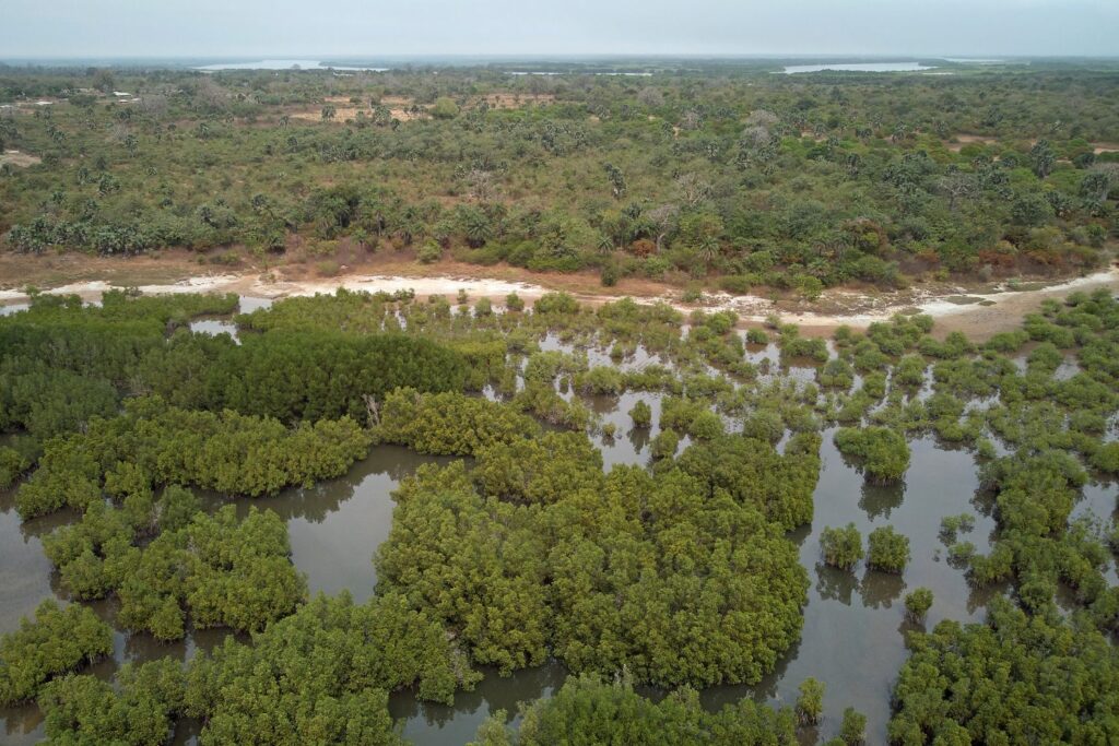 Geography Of Gambia In 2025