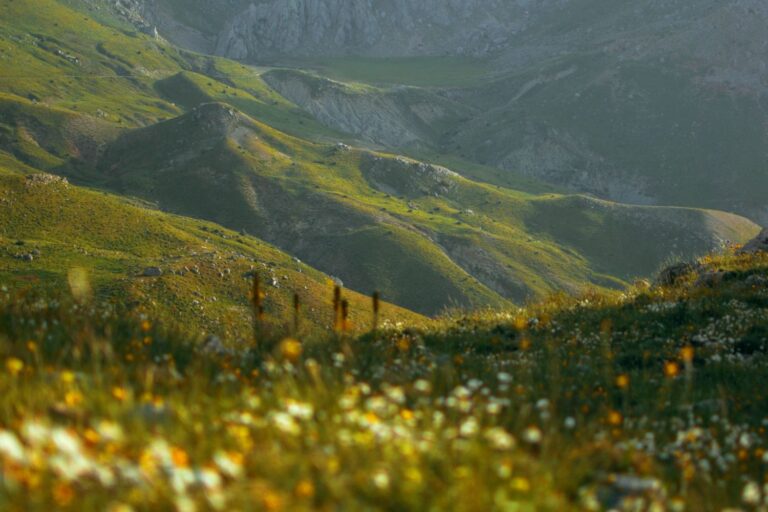 Geography of Algeria in 2025