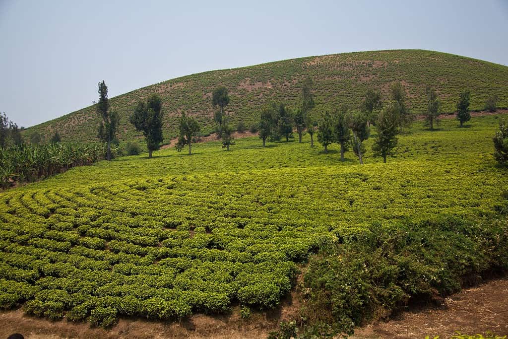 Geography of Rwanda in 2025