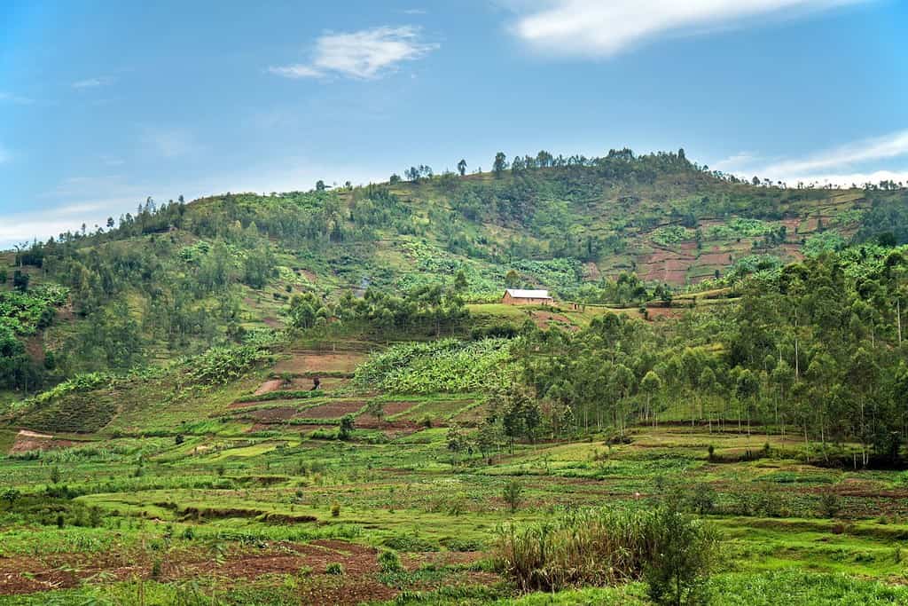 Geography of Rwanda in 2025