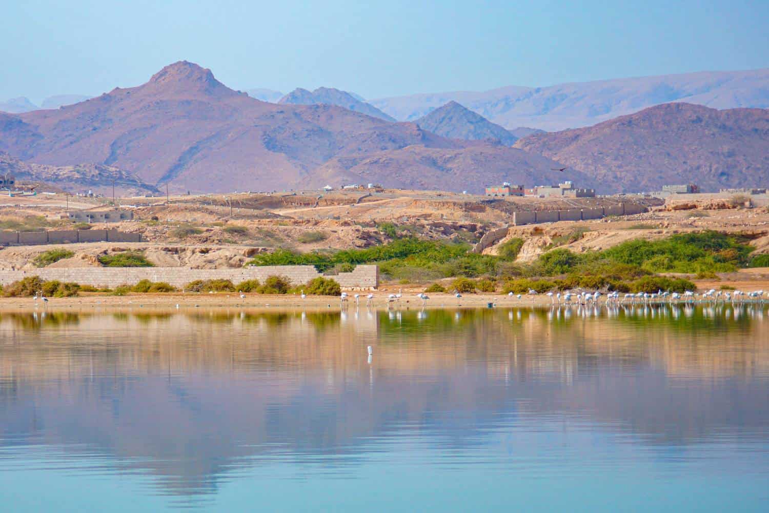 7-day Yemen Group Tours 2025 » Shibam + Mukalla + Seiyun